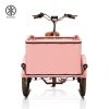 KK6007 Front Loader Electric Cargo Tricycle (250W, 10Ah, 6 Speed ...