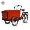 KK6010 Front Loader Electric Cargo Tricycle (250W, 10Ah, 6 Speed ...