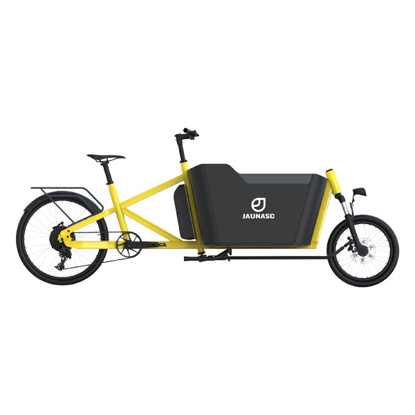 Heavy Duty Electric Postie Tricycle for Parcel Delivery KK6001 - Kuake ...